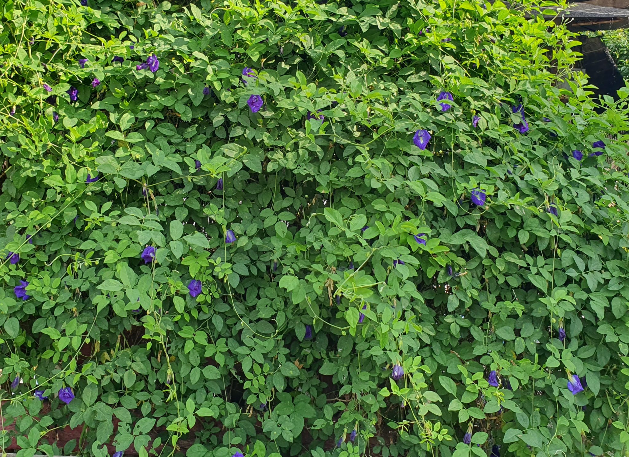 genugda – travel. eat. enjoy.